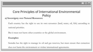 Sources and Principles of International Environmental Policy | PPTX