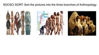 WEEK 2-ANTHROPOLOGY.pptx