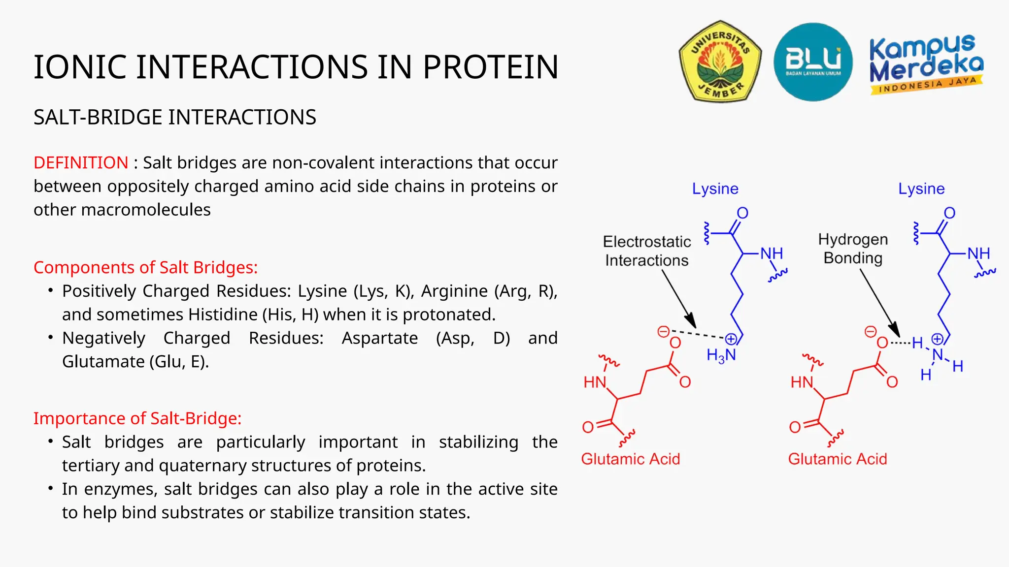 WEEK 2 - BIOREACTION.pptx interaksi ion dan molekul dalam sel | PPTX
