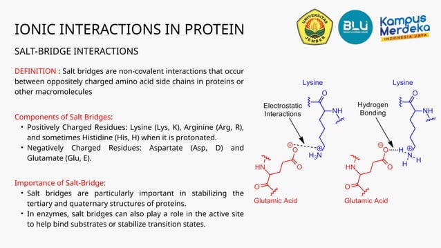 WEEK 2 - BIOREACTION.pptx interaksi ion dan molekul dalam sel | PPTX