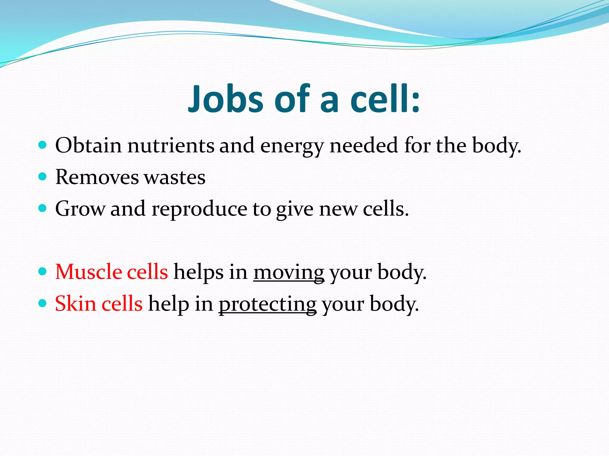 cells - grade 6 | PPTX