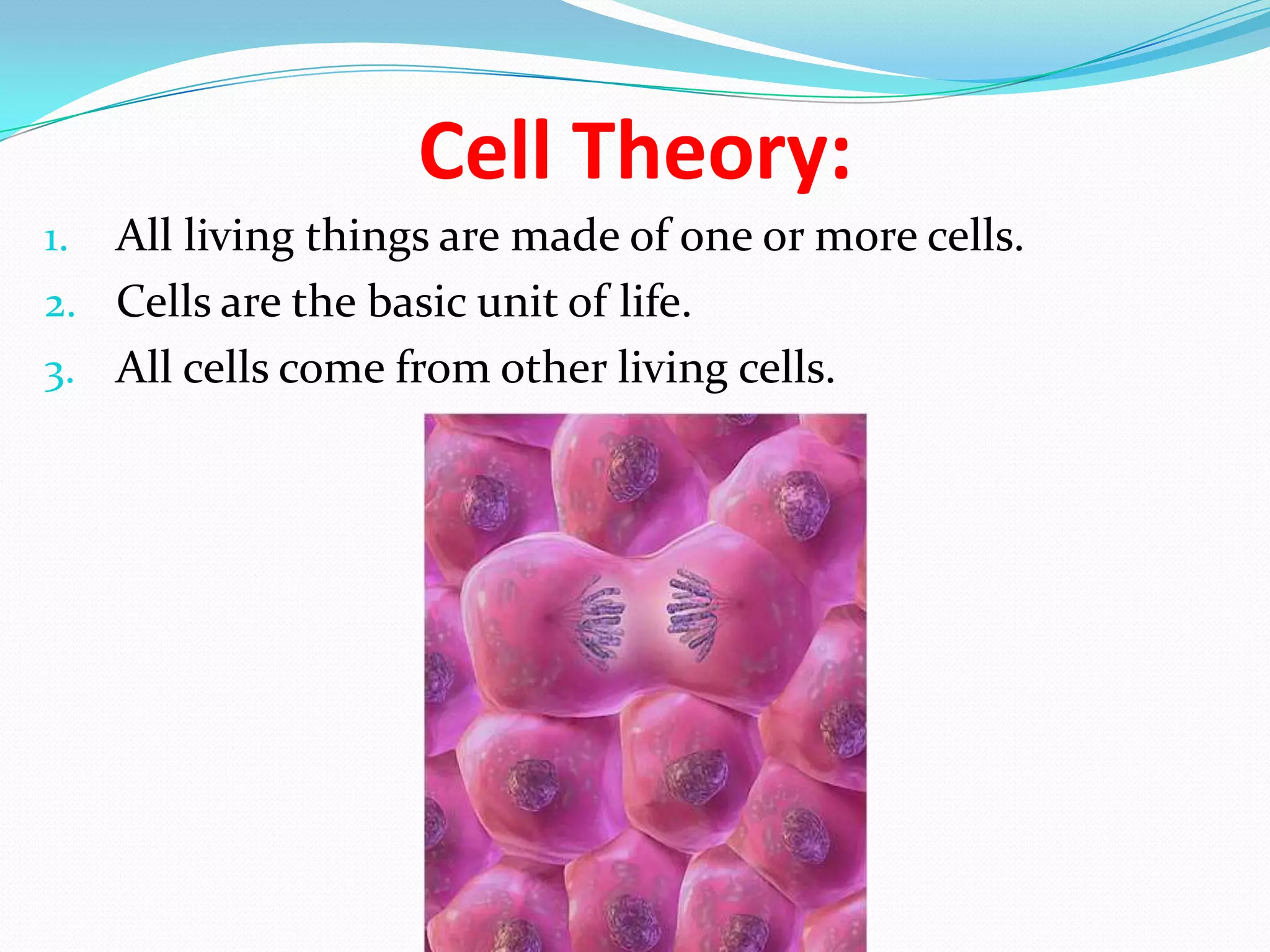 cells - grade 6 | PPTX