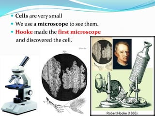 cells - grade 6 | PPTX