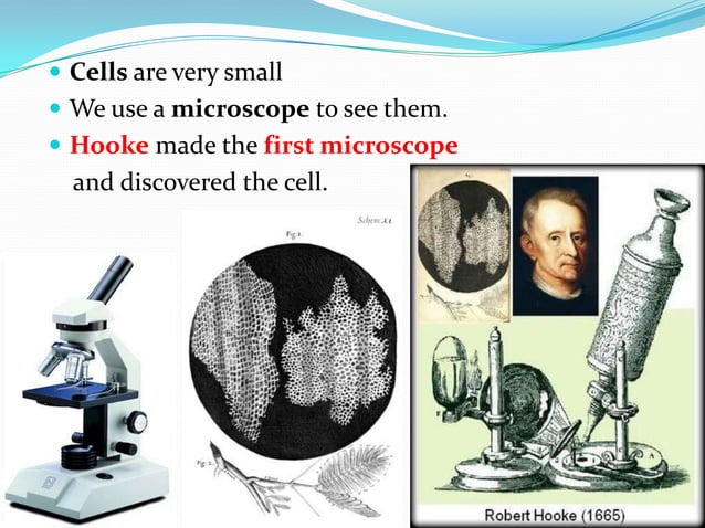 cells - grade 6 | PPTX