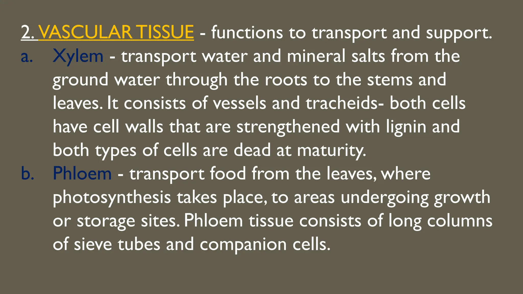 WEEK 2-CELL TYPES, FUNCTIONS & MODIFICATION.pptx