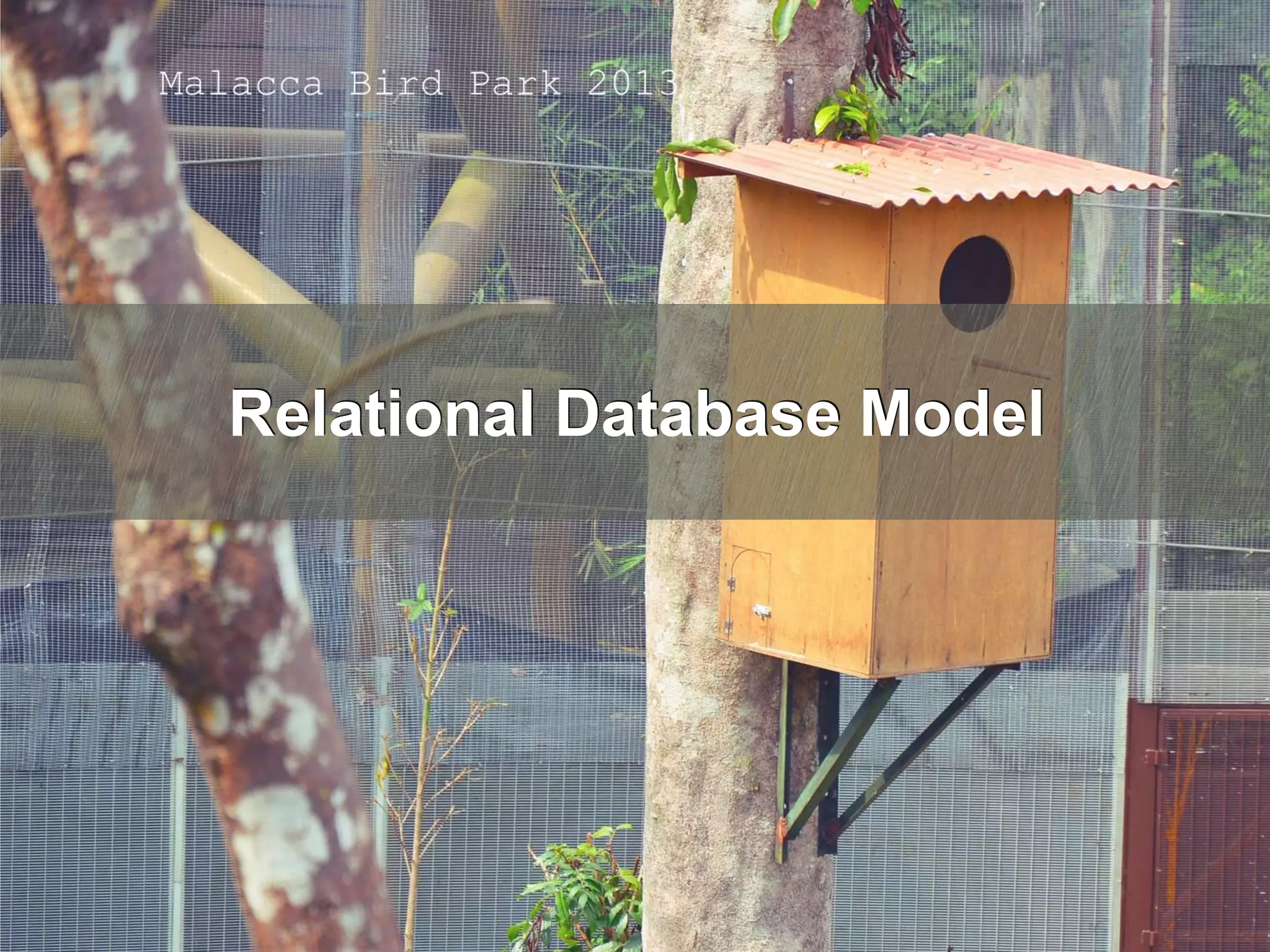 Week 2 - Database System Development Lifecycle-old.pptx