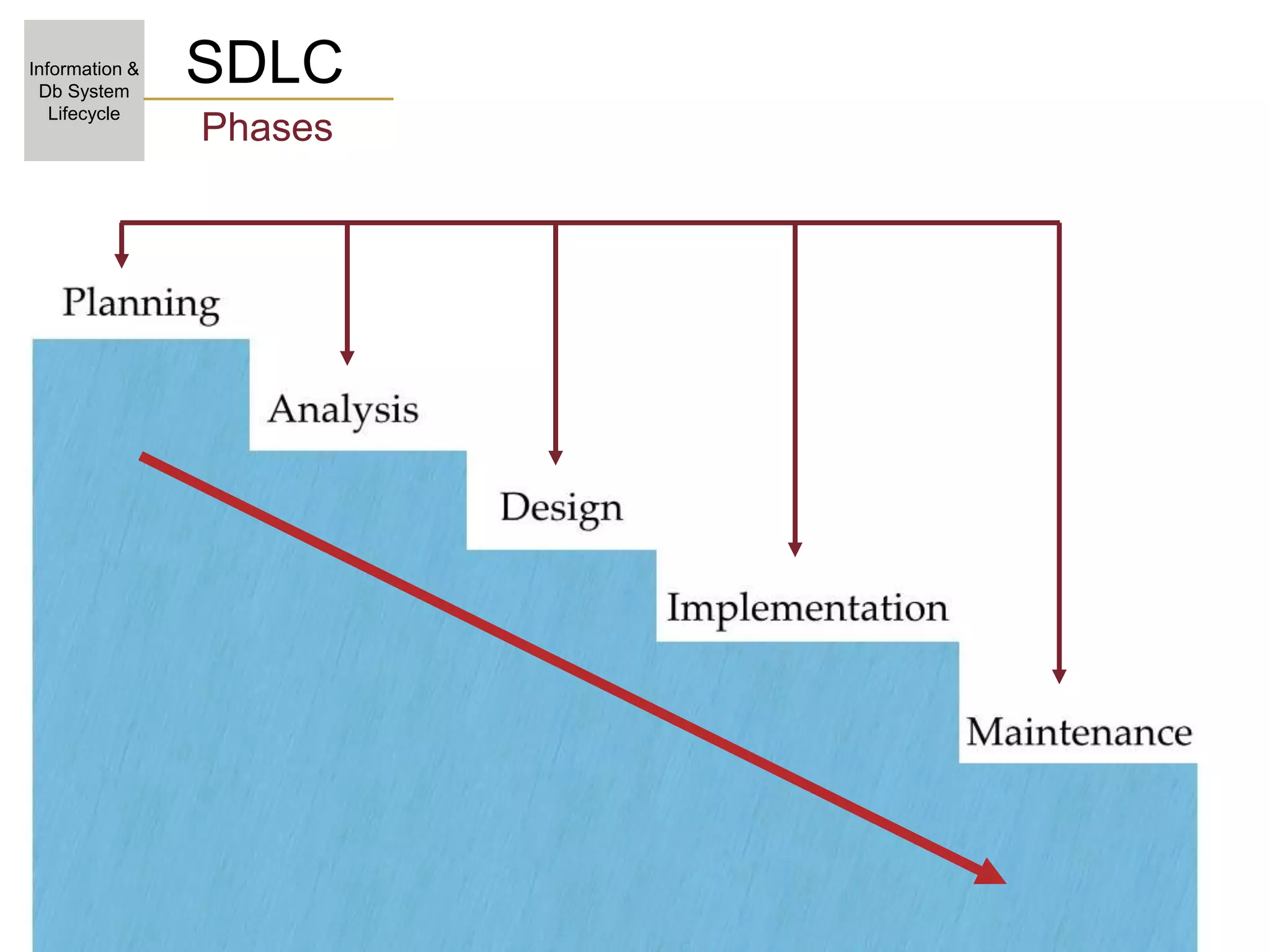 Week 2 - Database System Development Lifecycle-old.pptx