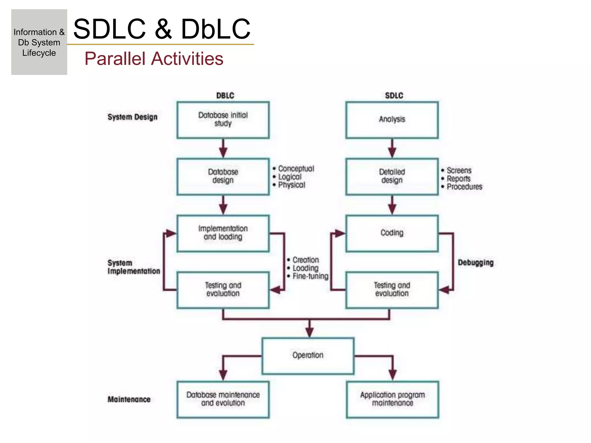 Week 2 - Database System Development Lifecycle-old.pptx