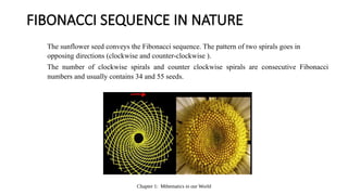 FIBONACCI SEQUENCE, MATHEMATICS IN THE MODERN WORLD | PPTX