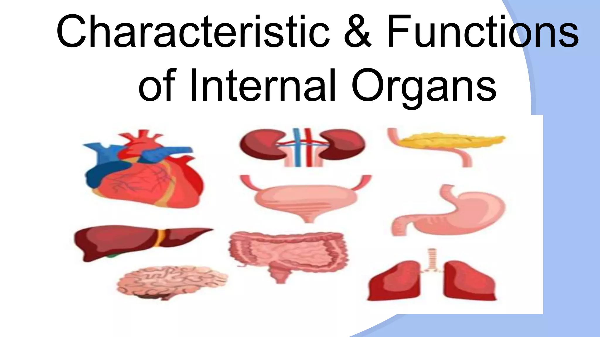 Functions of internal organs | PPTX