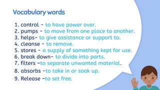 Functions of internal organs | PPTX