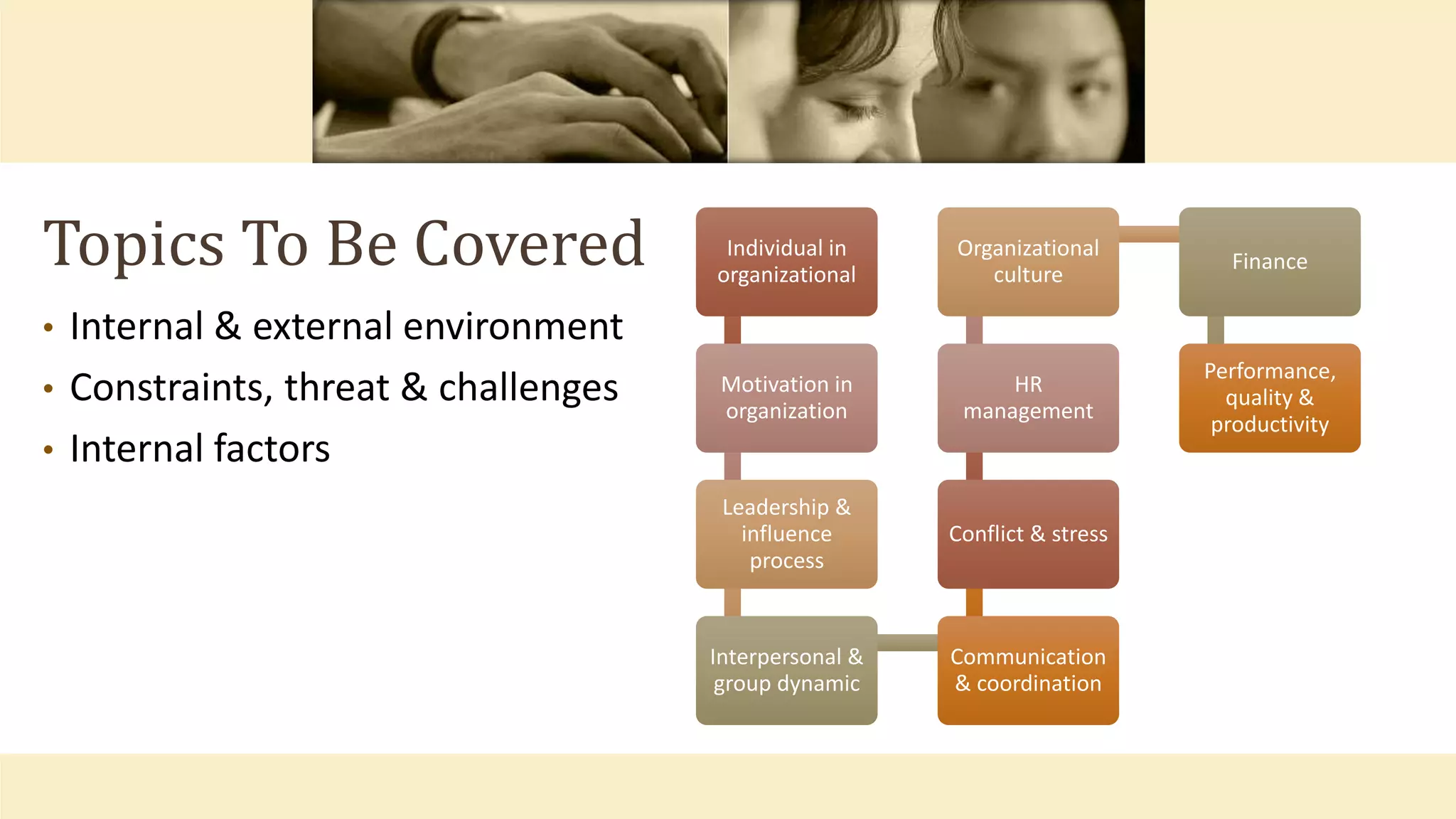 Organizational constraints, threats & challenges: The internal factors ...