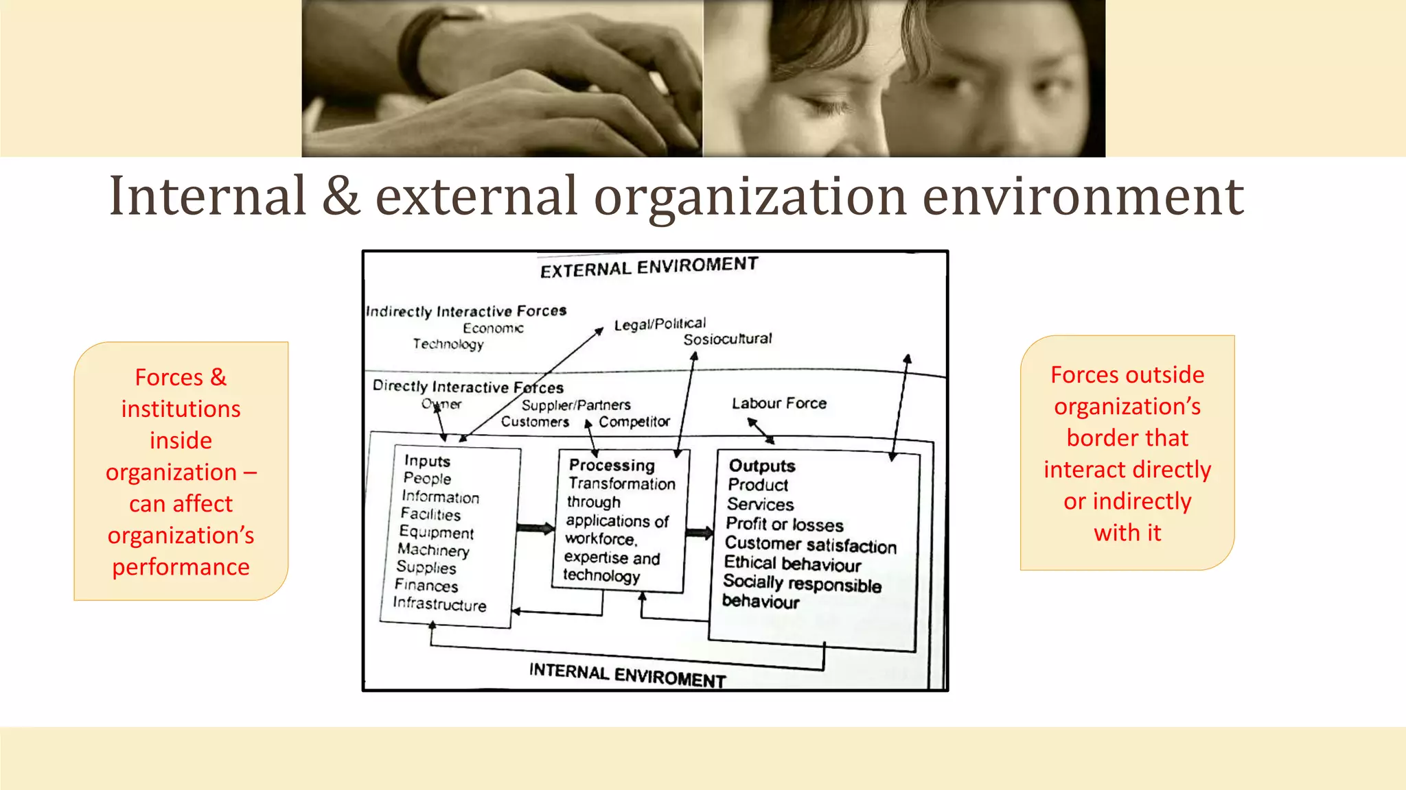 Organizational constraints, threats & challenges: The internal factors ...