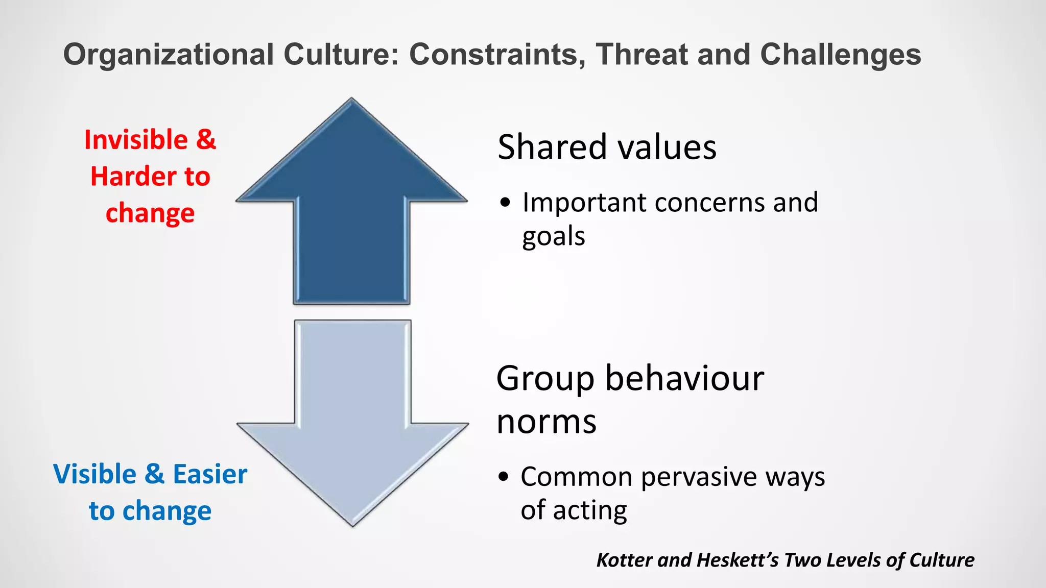 Organizational constraints, threats & challenges: The internal factors ...
