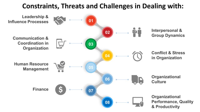 Organizational constraints, threats & challenges: The internal factors ...