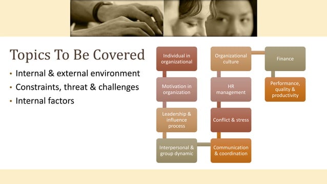 Organizational constraints, threats & challenges: The internal factors ...