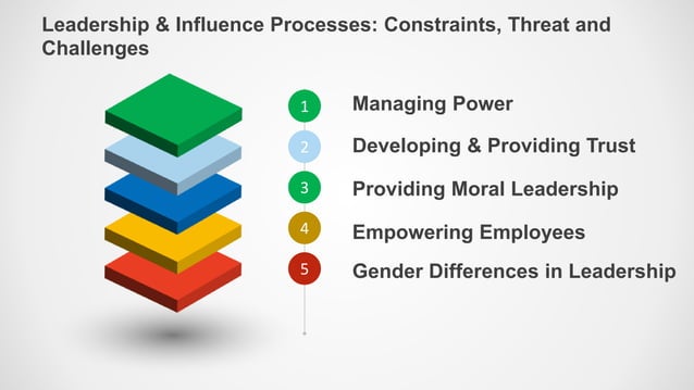 Organizational constraints, threats & challenges: The internal factors ...