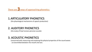 Phonetics | PDF