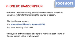 Phonetics | PDF