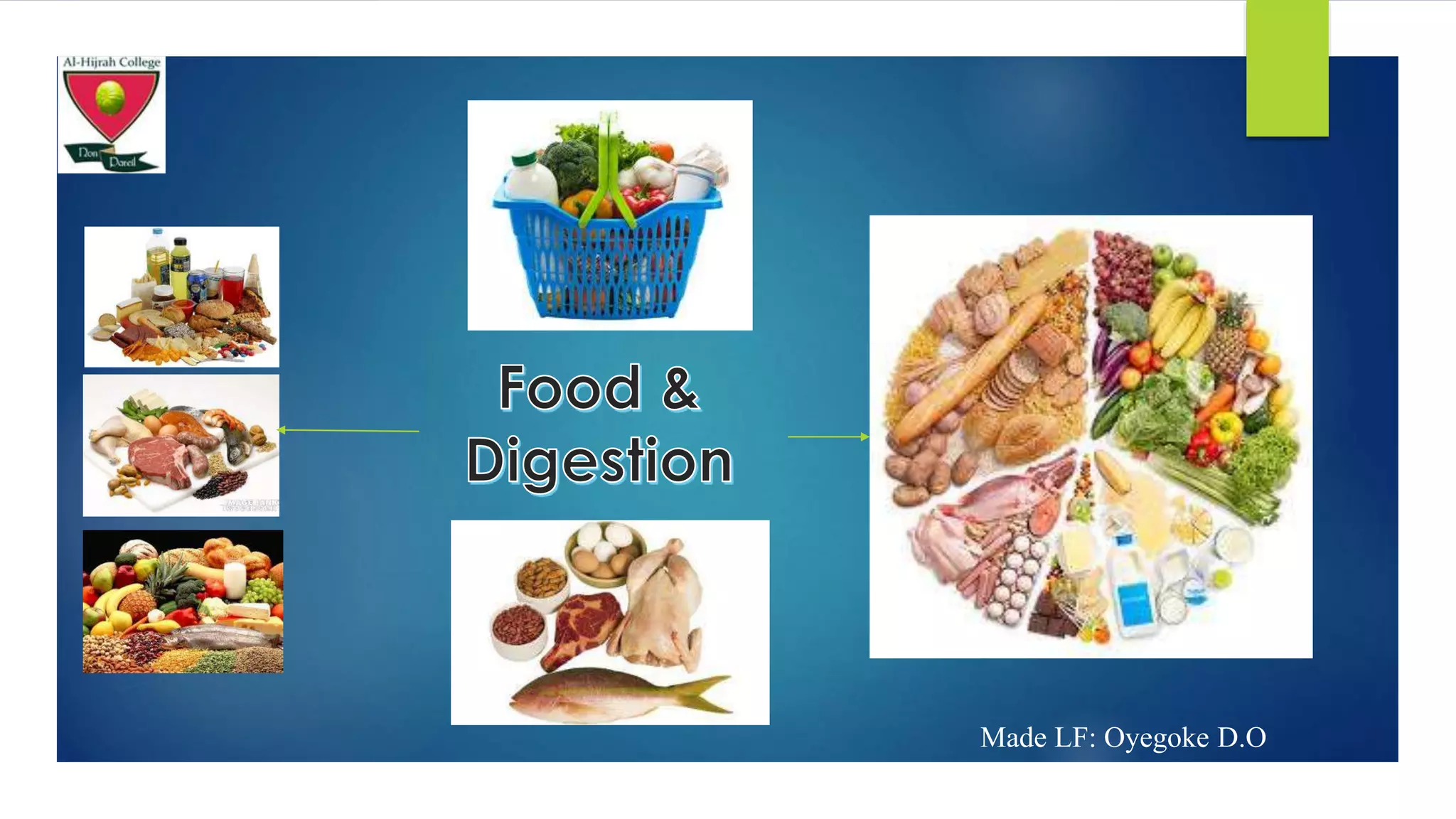 Food and Digestion | PPTX