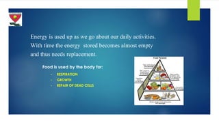 Food and Digestion | PPTX