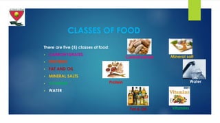 Food and Digestion | PPTX