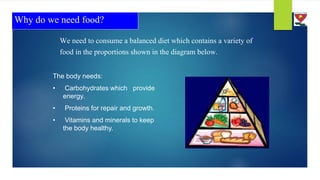Food and Digestion | PPTX