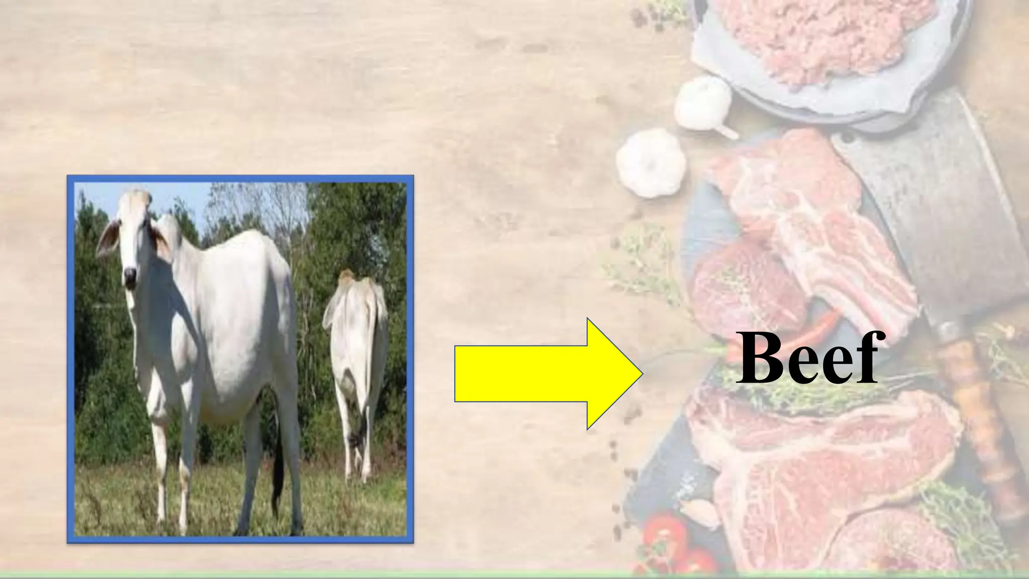 Cookery_Prepare Meat Products_Types of Meat | PPTX