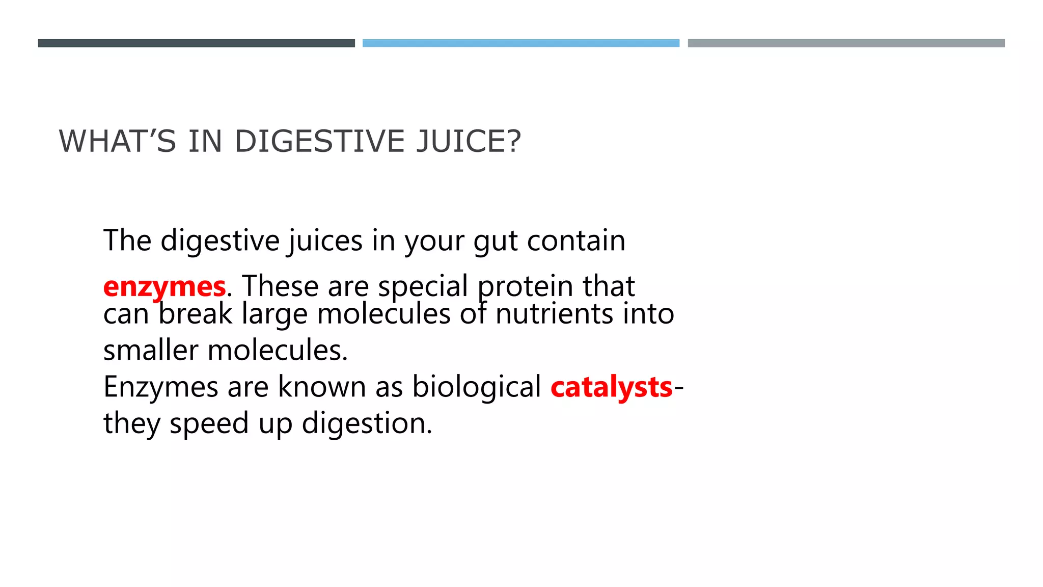 Bacteria and enzymes in digestion | PPT