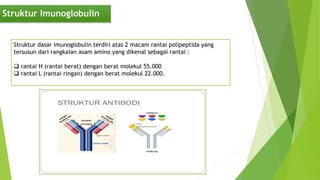 PPT immunoserologi - Antibodi | PPTX