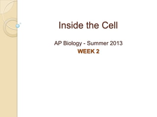 AP Biology - Week 2 Cells and Membranes | PPTX