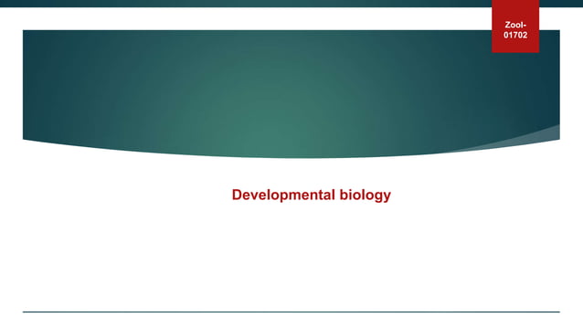 Zoology final semester developmental Biology | PPT | Free Download