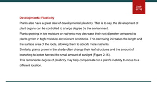 Zoology final semester developmental Biology | PPTX
