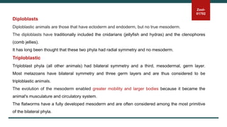 Zoology final semester developmental Biology | PPTX
