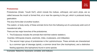 Zoology final semester developmental Biology | PPT
