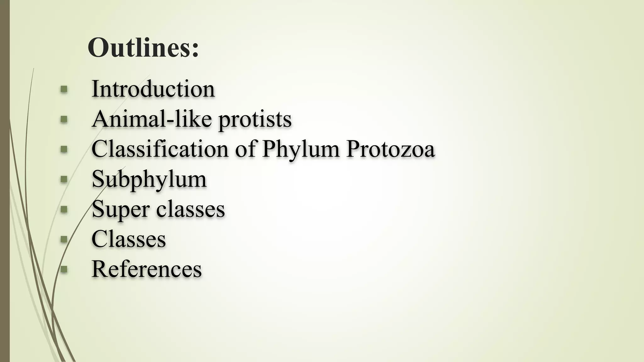 Protozoan Taxonomy | PPTX