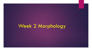 Week 2 morphology copy | PPT