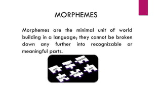 Week 2 morphology copy | PPT