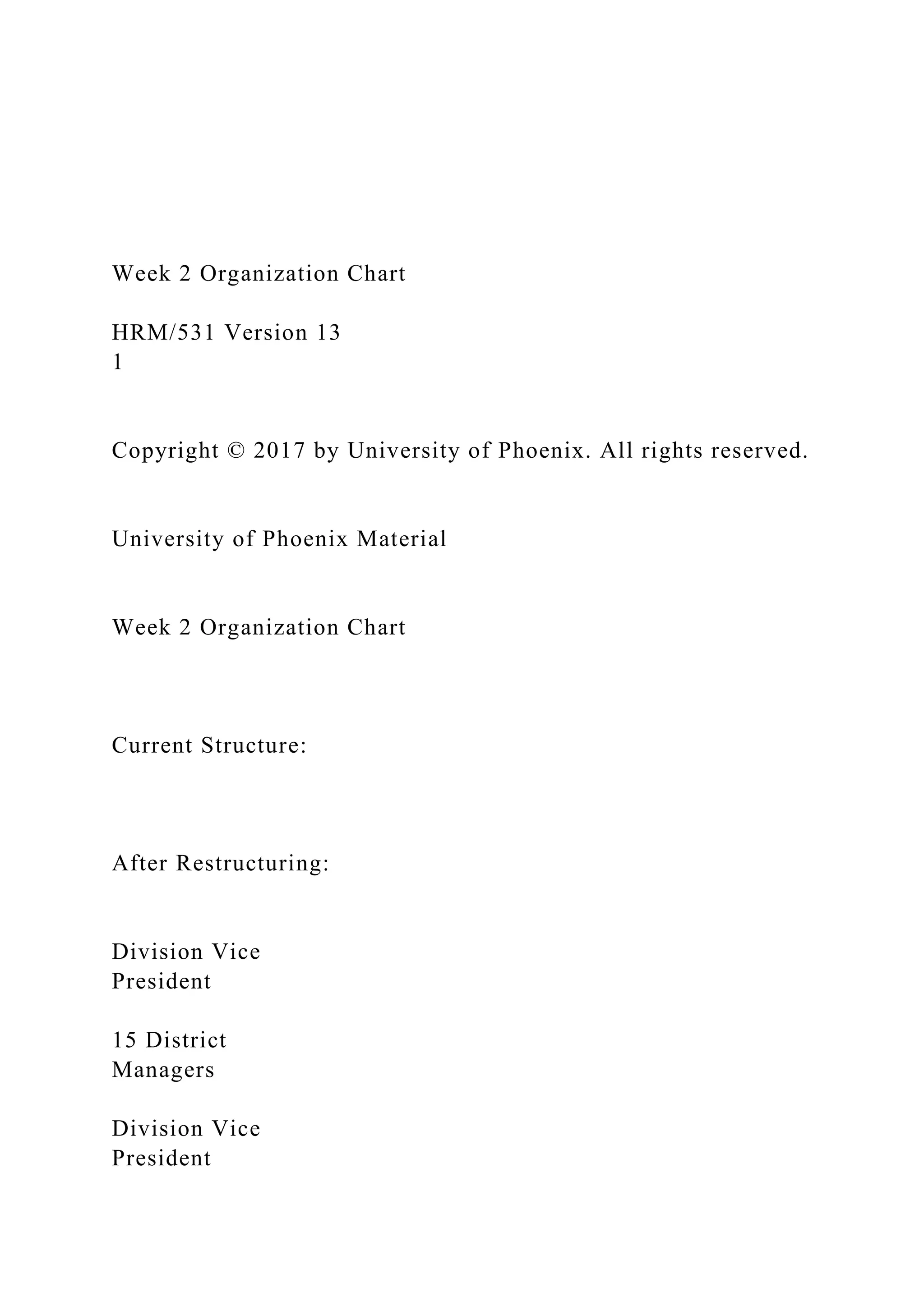 Week 2 Organization Chart HRM531 Version 13 1 .docx