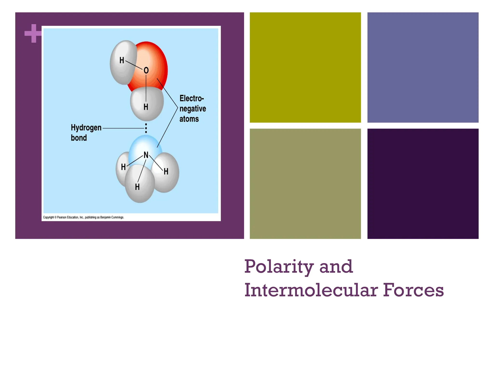 week2_polarity_Physical science _ Grade 12 | PPT