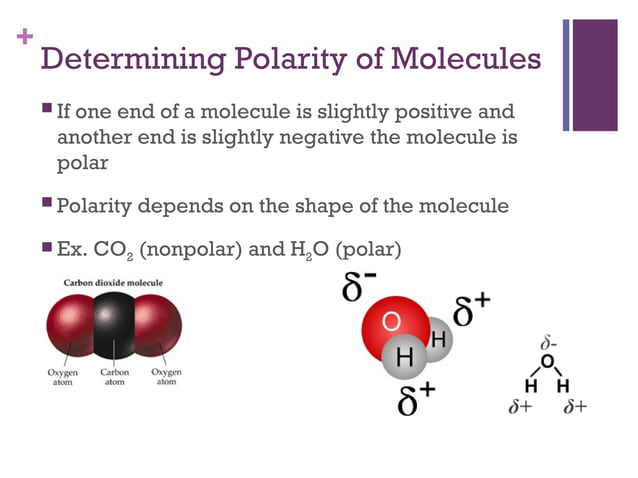 week2_polarity_Physical science _ Grade 12 | PPT | Chemistry | Science