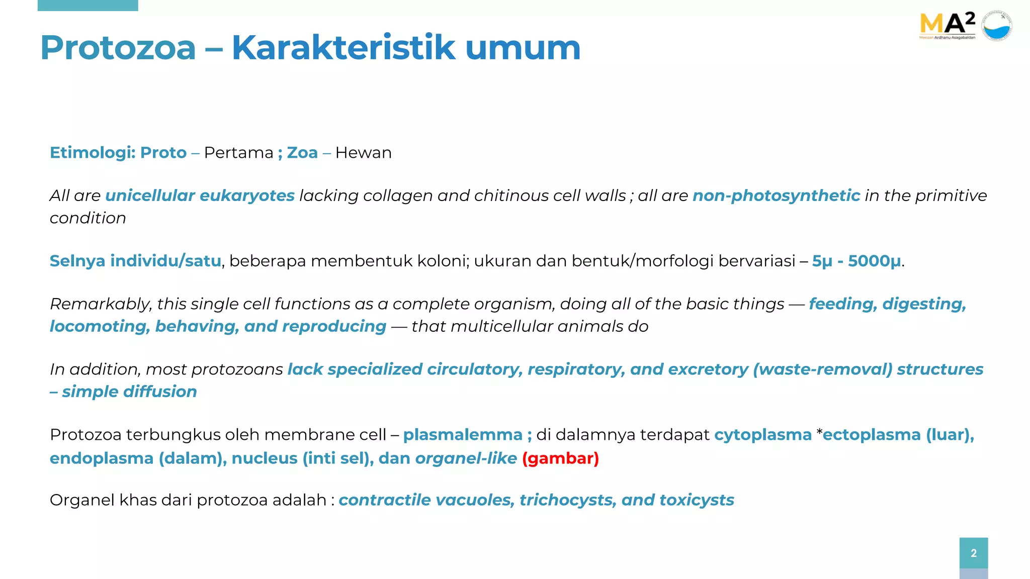 Week 2_ Protozoa, Porifera.pdf