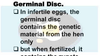WEEK 2 STRUCTURE OF AN EGG.pptx