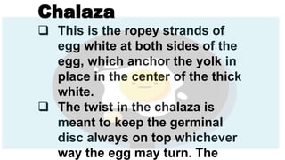 WEEK 2 STRUCTURE OF AN EGG.pptx
