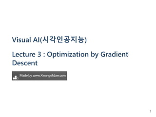 Visual AI(시각 인공지능) Lecture 3 : Optimization by Gradient Descent | PDF