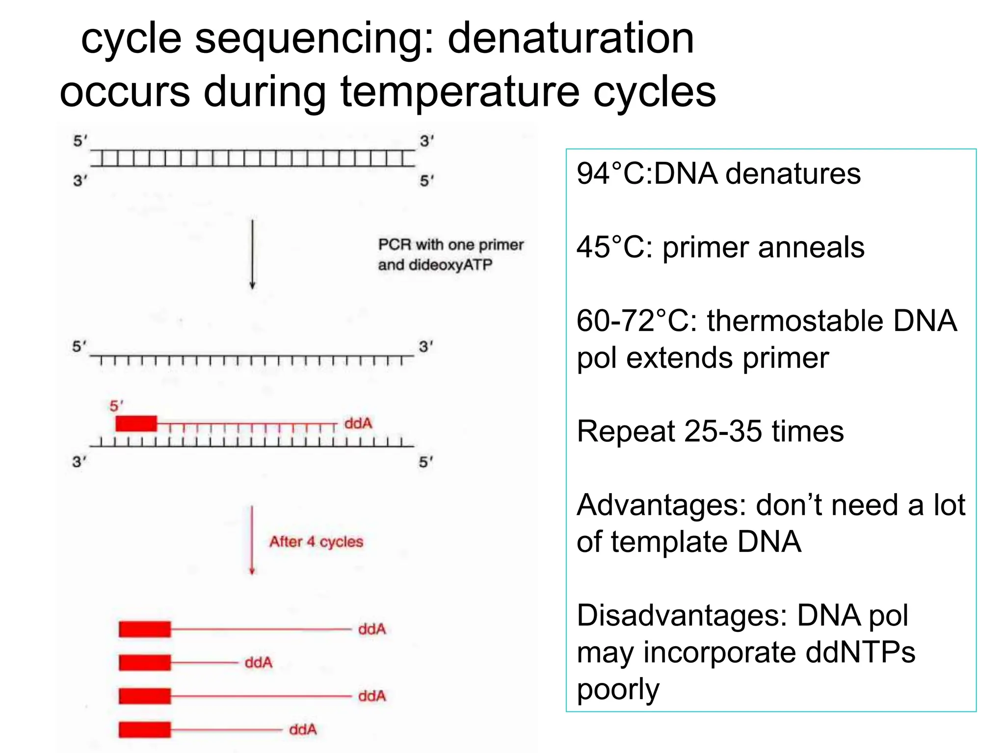 DNA Sequencing: History, methods and NGS | PPT