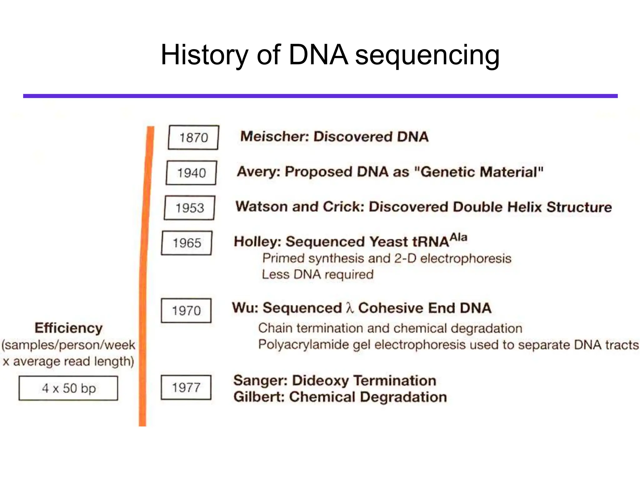 DNA Sequencing: History, methods and NGS | PPT