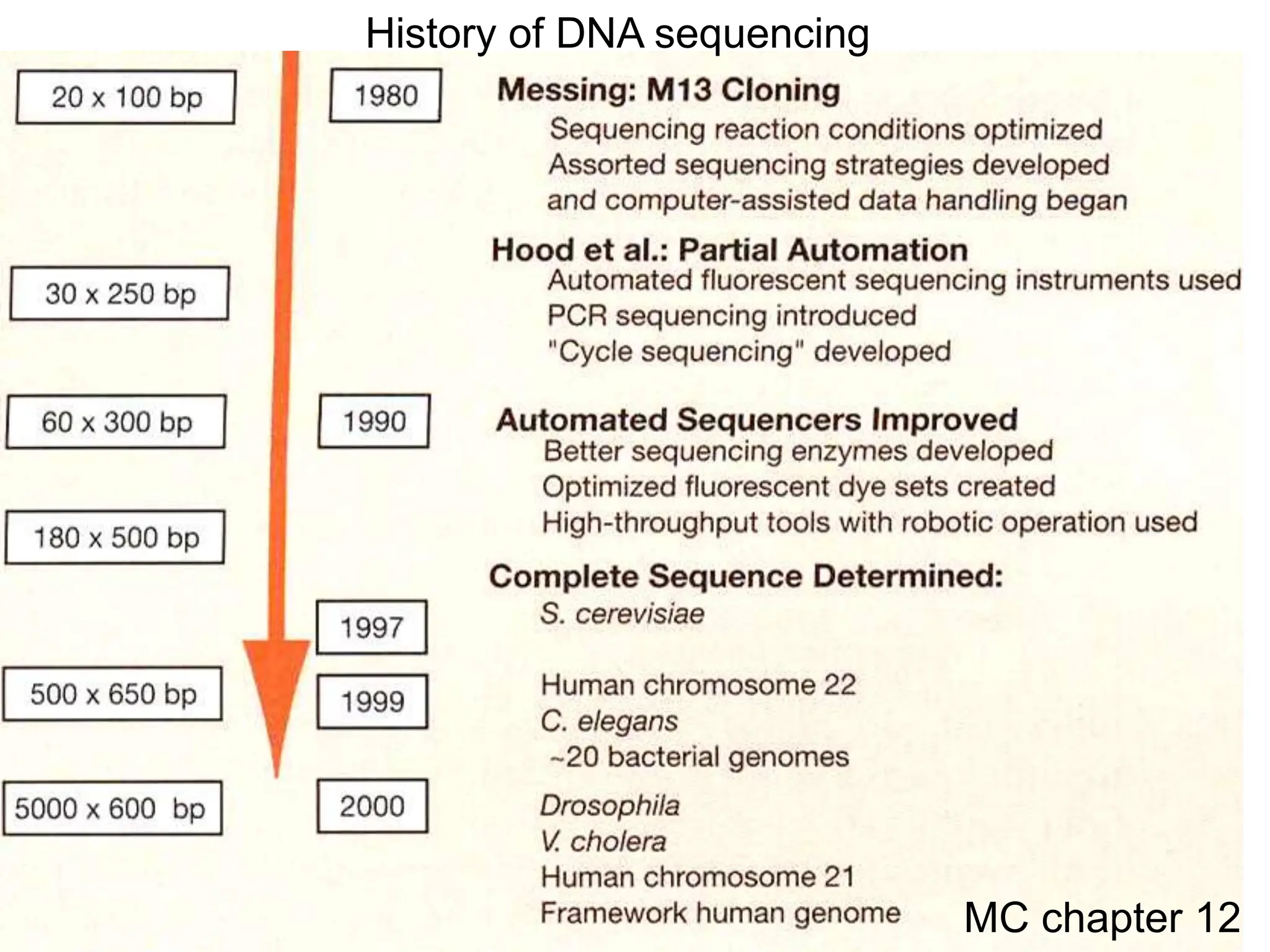 DNA Sequencing: History, methods and NGS | PPT