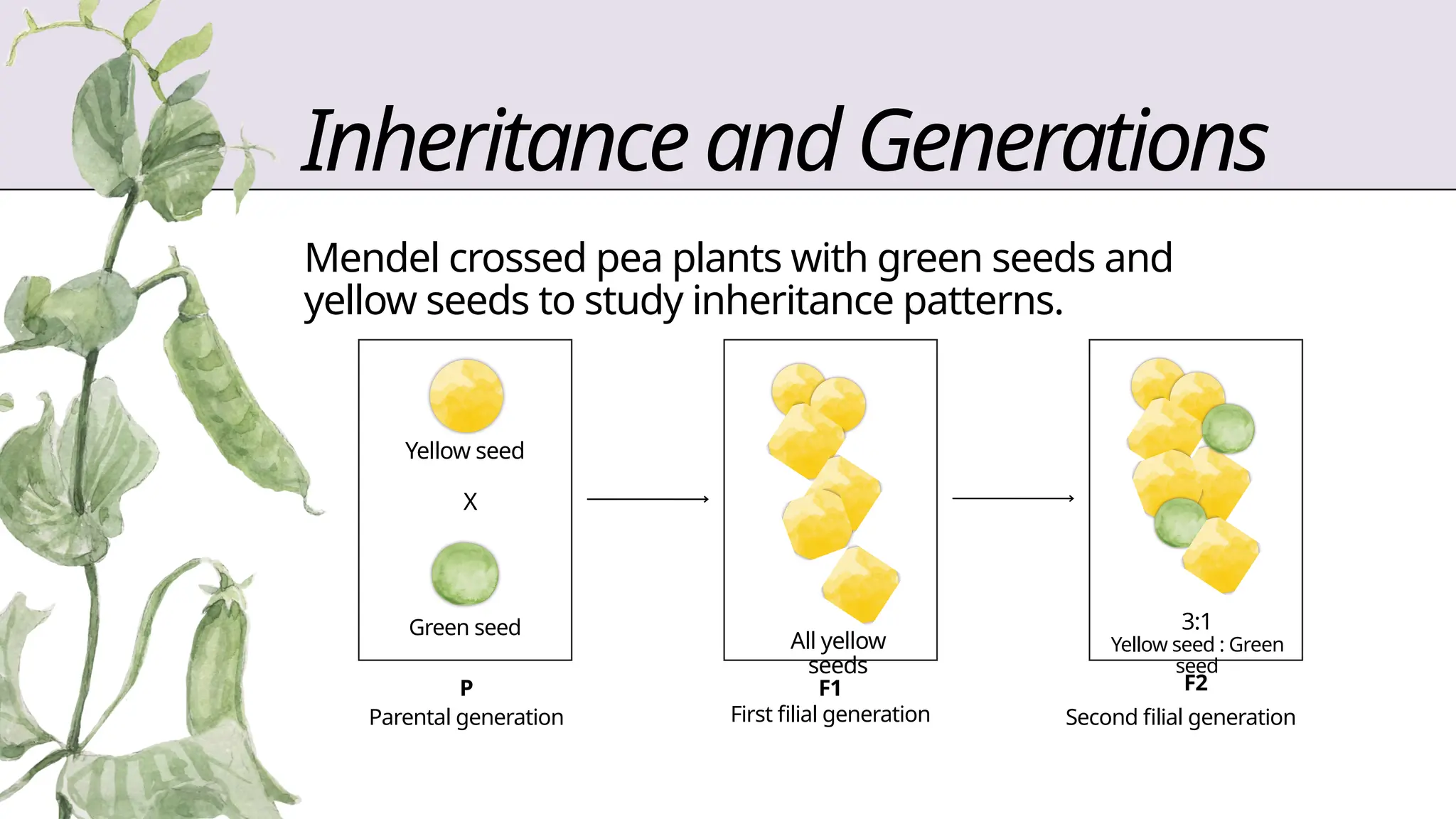 WEEK 3-GENETIC INHERITANCE AND ITS TYPES | PPTX