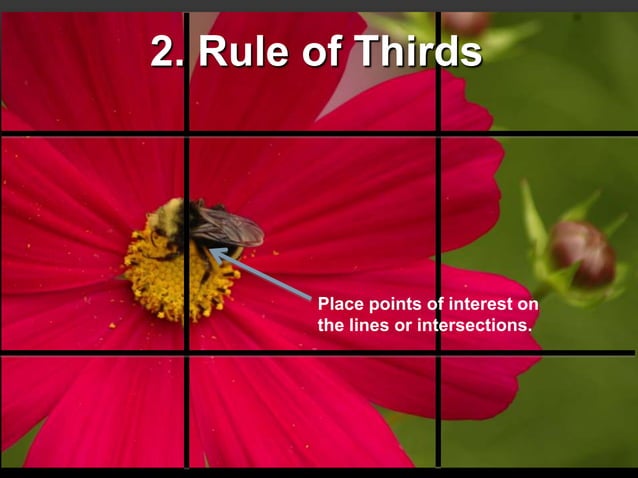 Week 3_Camera angles | PPTX